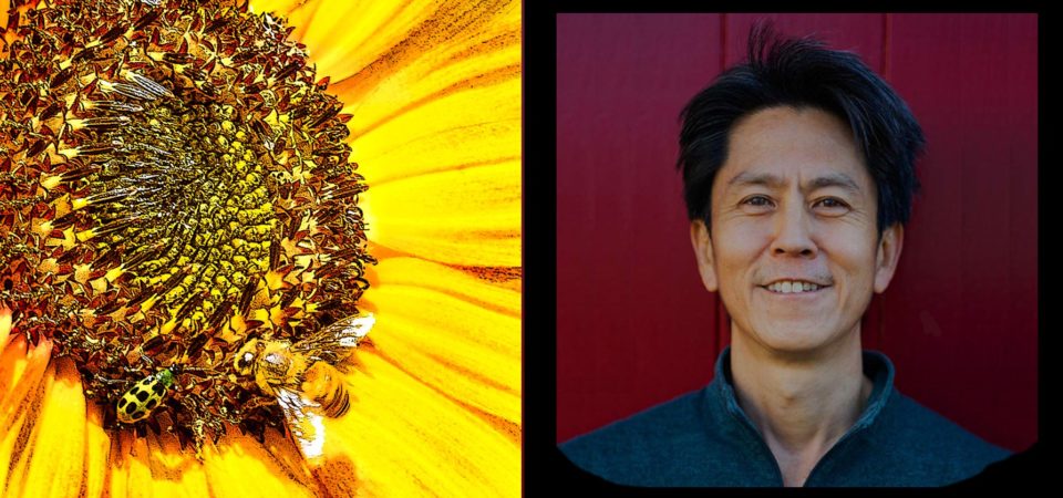Remaking the World Cooperatively with Neil Takemoto - The Center for ...
